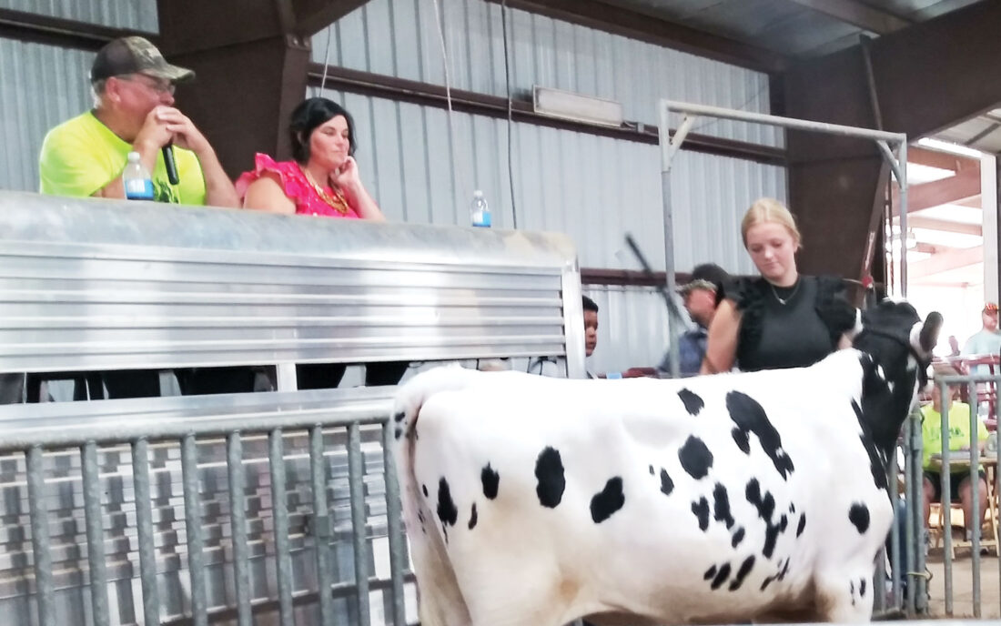 Washington County Fair Livestock Sale proves a bit of a cash cow | News ...